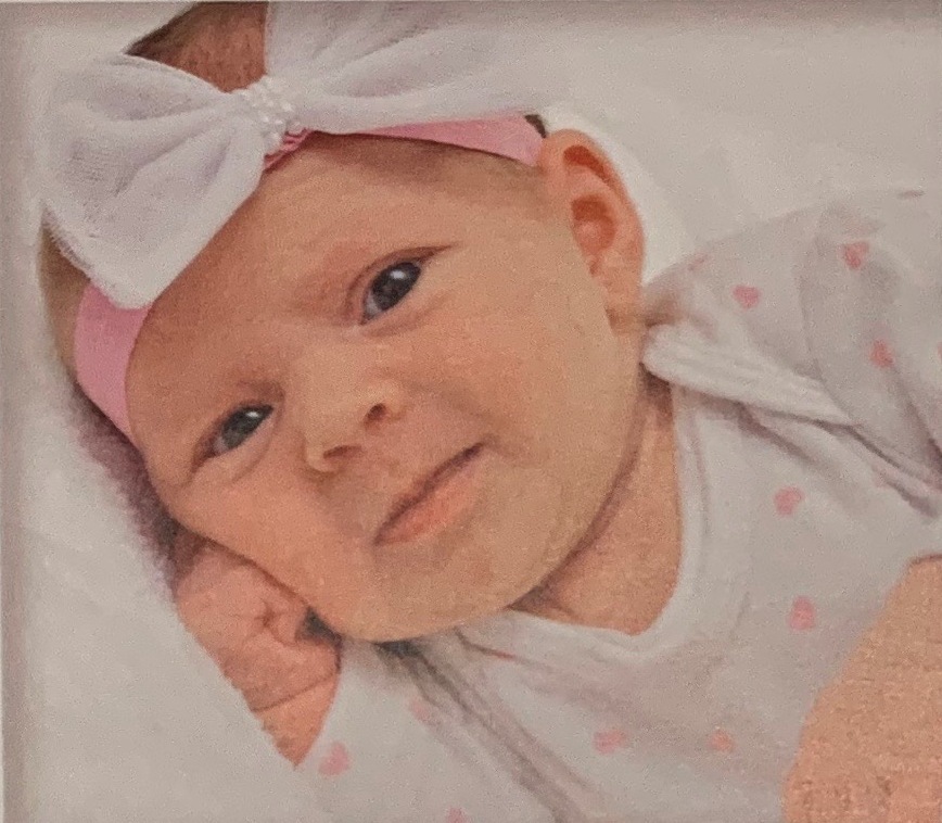 IVF-Saar - Galerie 2020